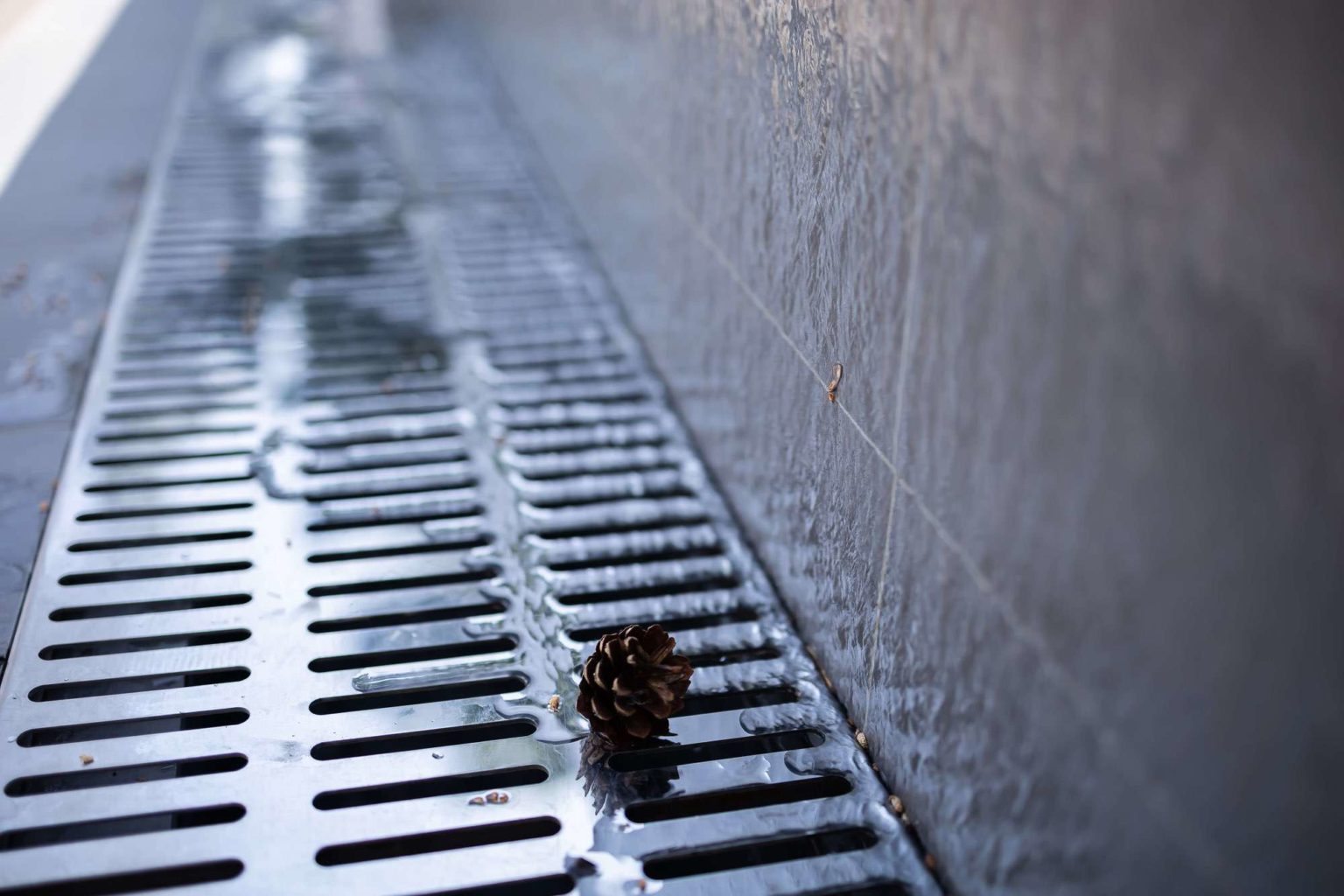 What To Know About a Trench Drain System